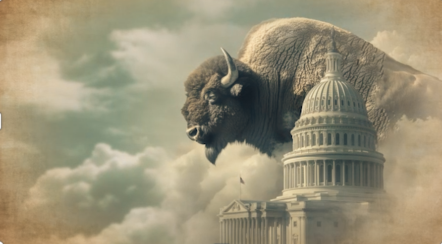 What S New At Amazing Discoveries Get Updates And Find Out What S